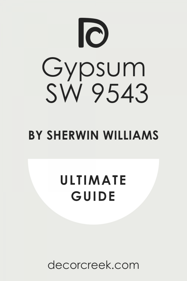 Gypsum SW 9543 Paint Color by Sherwin Williams - DecorCreek