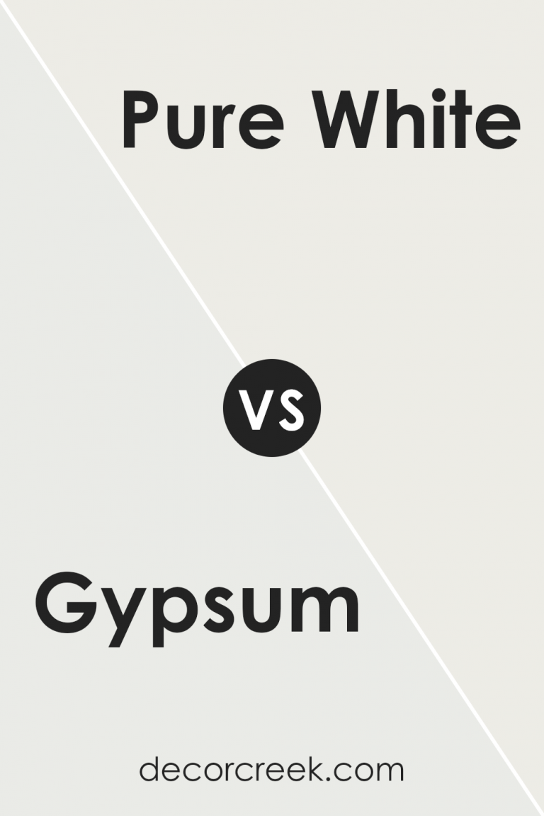 Gypsum SW 9543 Paint Color by Sherwin Williams - DecorCreek