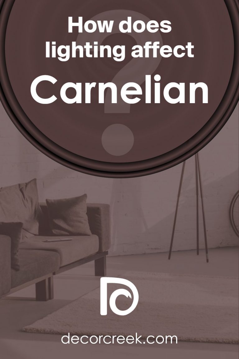 Carnelian SW 7580 Paint Color by Sherwin Williams - DecorCreek