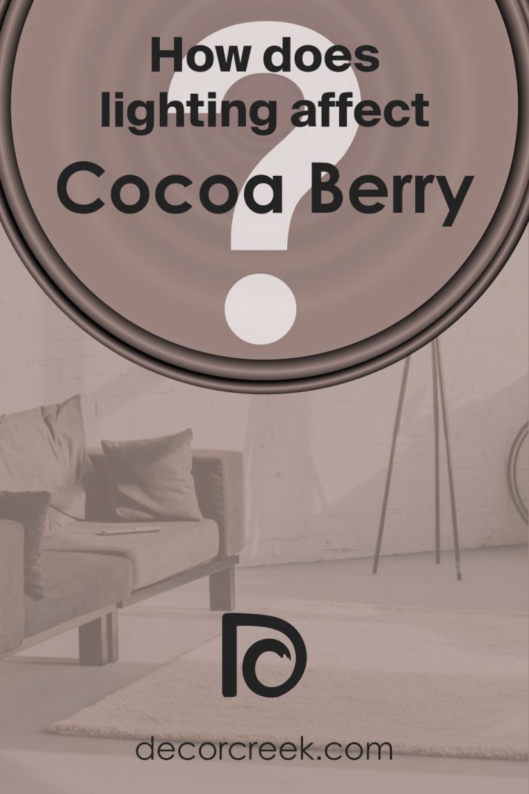 Cocoa Berry SW 9078 Paint Color by Sherwin Williams - DecorCreek