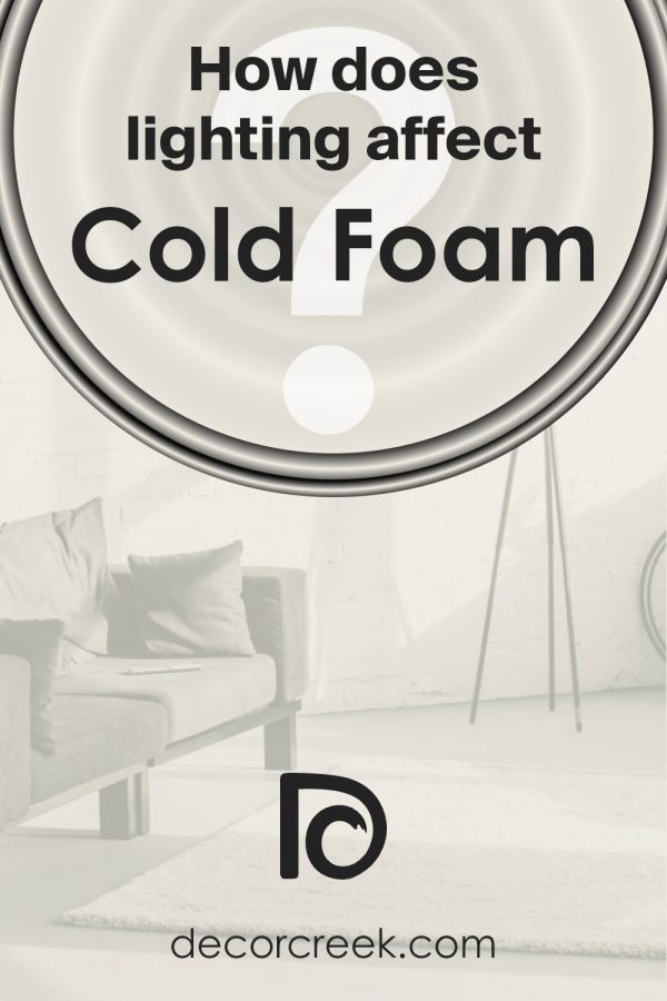 Cold Foam SW 9504 Paint Color by Sherwin Williams - DecorCreek