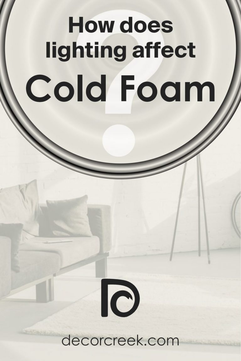 Cold Foam SW 9504 Paint Color by Sherwin Williams - DecorCreek