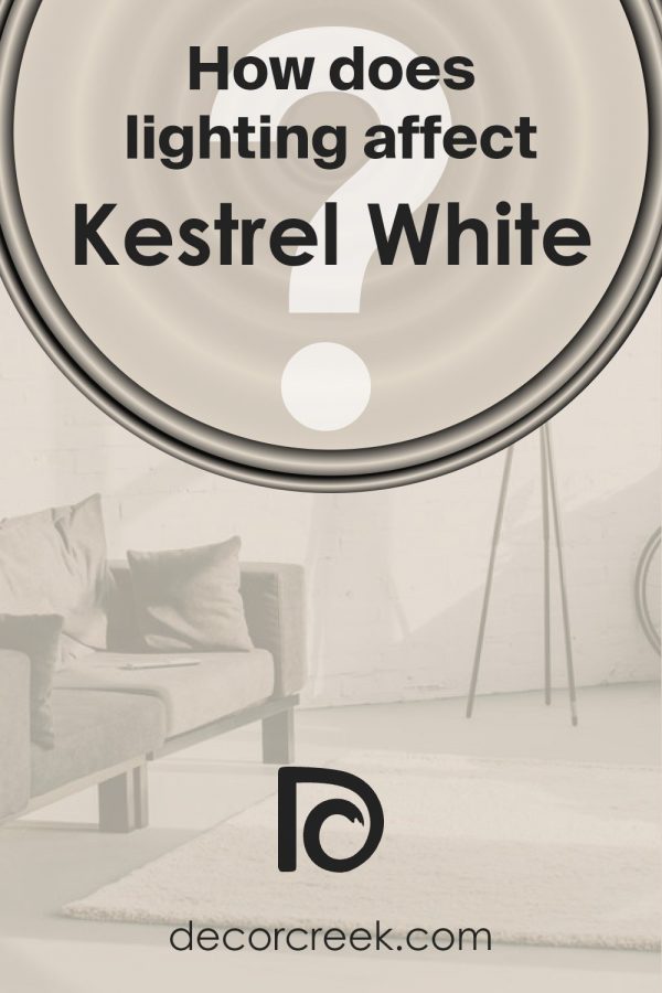 Kestrel White SW 7516 Paint Color by Sherwin Williams - DecorCreek
