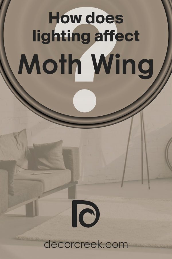 Moth Wing SW 9174 Paint Color by Sherwin Williams - DecorCreek