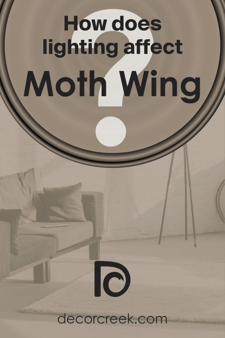 Moth Wing SW 9174 Paint Color by Sherwin Williams - DecorCreek