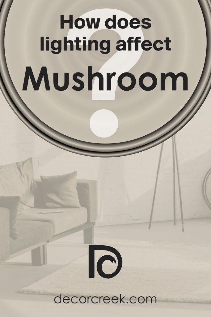 Mushroom SW 9587 Paint Color by Sherwin Williams - DecorCreek