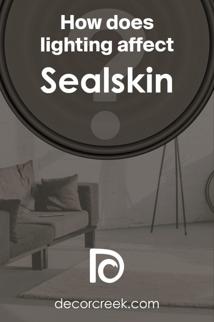Sealskin SW 7675 Paint Color by Sherwin Williams - DecorCreek