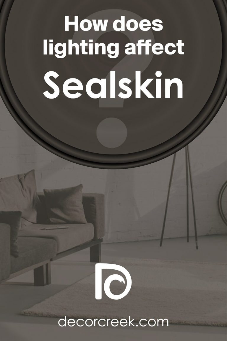 Sealskin SW 7675 Paint Color by Sherwin Williams - DecorCreek