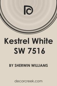 Kestrel White SW 7516 Paint Color by Sherwin Williams - DecorCreek
