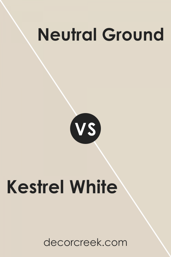 Kestrel White SW 7516 Paint Color by Sherwin Williams - DecorCreek