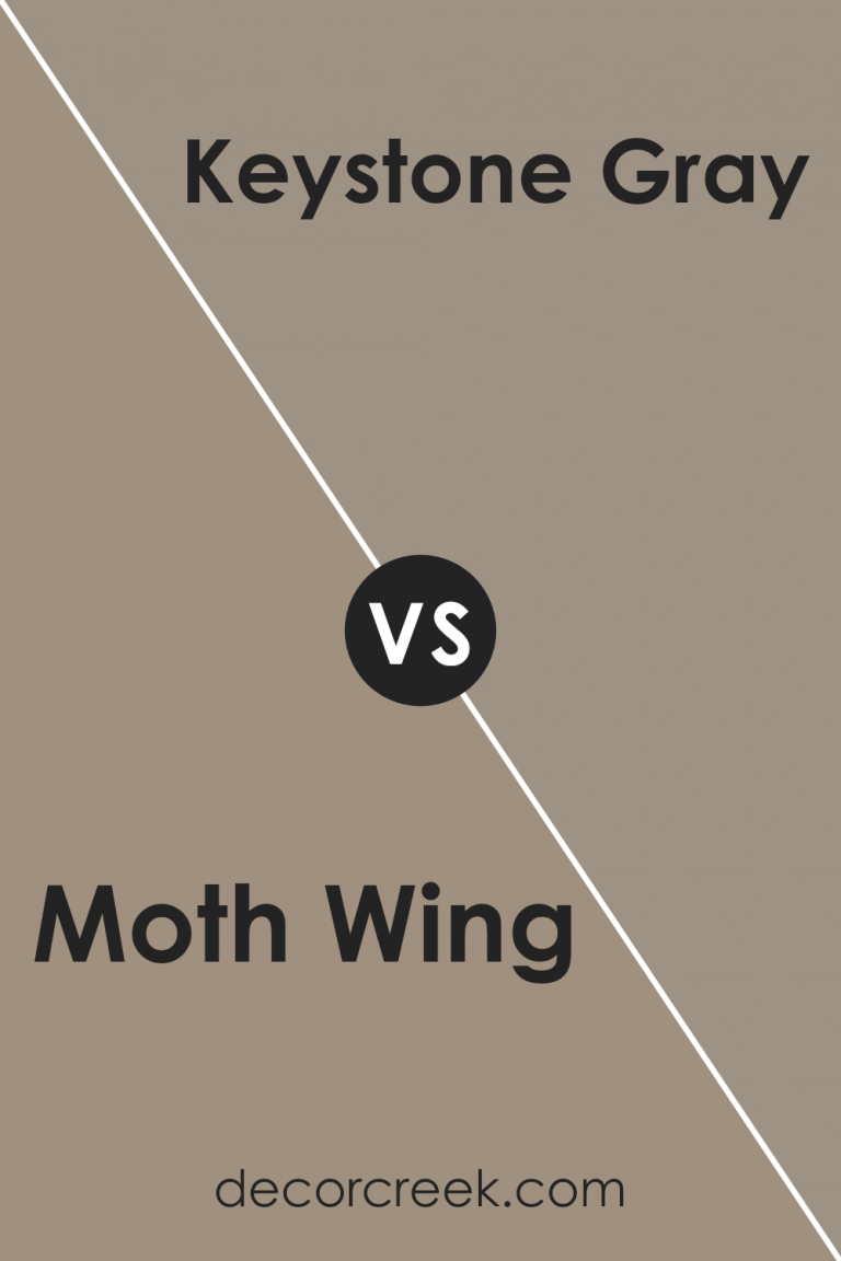 Moth Wing SW 9174 Paint Color by Sherwin Williams - DecorCreek