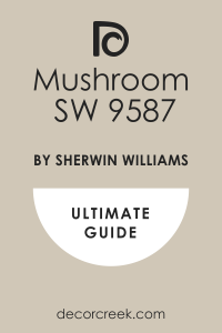 Mushroom SW 9587 Paint Color by Sherwin Williams - DecorCreek