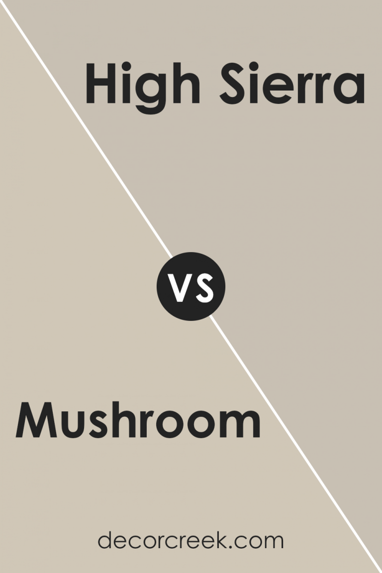 Mushroom SW 9587 Paint Color by Sherwin Williams - DecorCreek