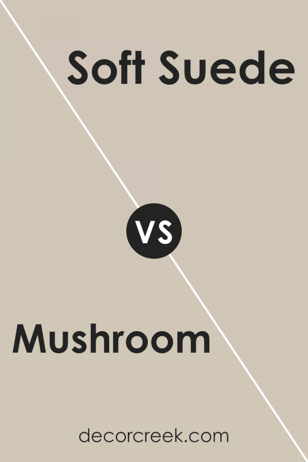 Mushroom SW 9587 Paint Color by Sherwin Williams - DecorCreek
