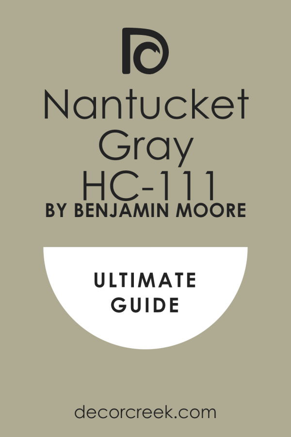 Nantucket Gray HC-111 Paint Color by Benjamin Moore - DecorCreek