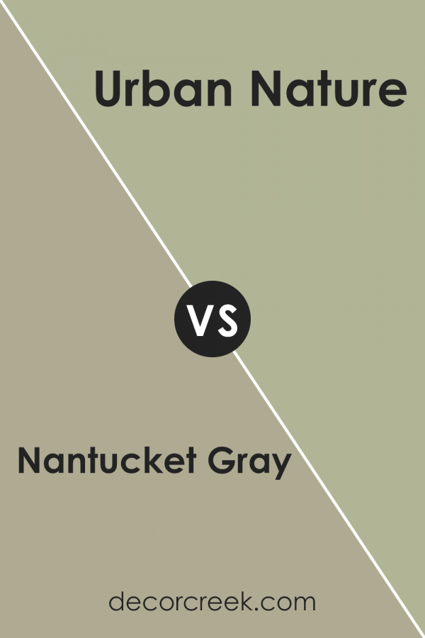 Nantucket Gray HC-111 Paint Color by Benjamin Moore - DecorCreek