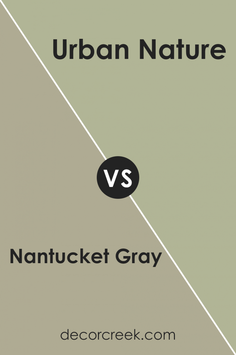 Nantucket Gray HC-111 Paint Color by Benjamin Moore - DecorCreek