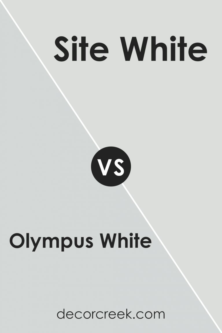 Olympus White SW 6253 Paint Color by Sherwin Williams - DecorCreek