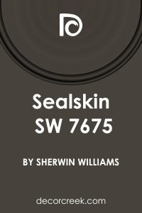 Sealskin SW 7675 Paint Color by Sherwin Williams - DecorCreek