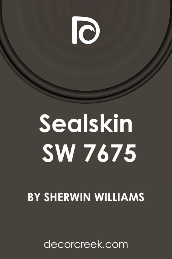 Sealskin SW 7675 Paint Color by Sherwin Williams - DecorCreek
