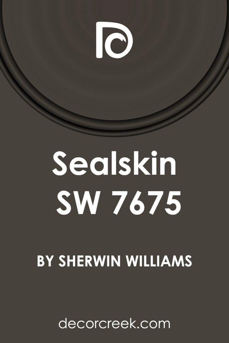 Sealskin SW 7675 Paint Color by Sherwin Williams - DecorCreek