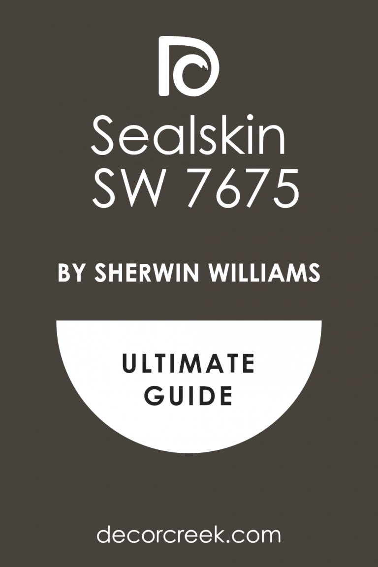 Sealskin SW 7675 Paint Color by Sherwin Williams - DecorCreek
