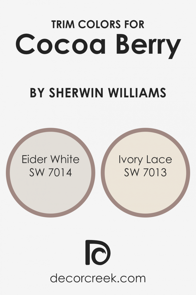 Cocoa Berry SW 9078 Paint Color by Sherwin Williams - DecorCreek