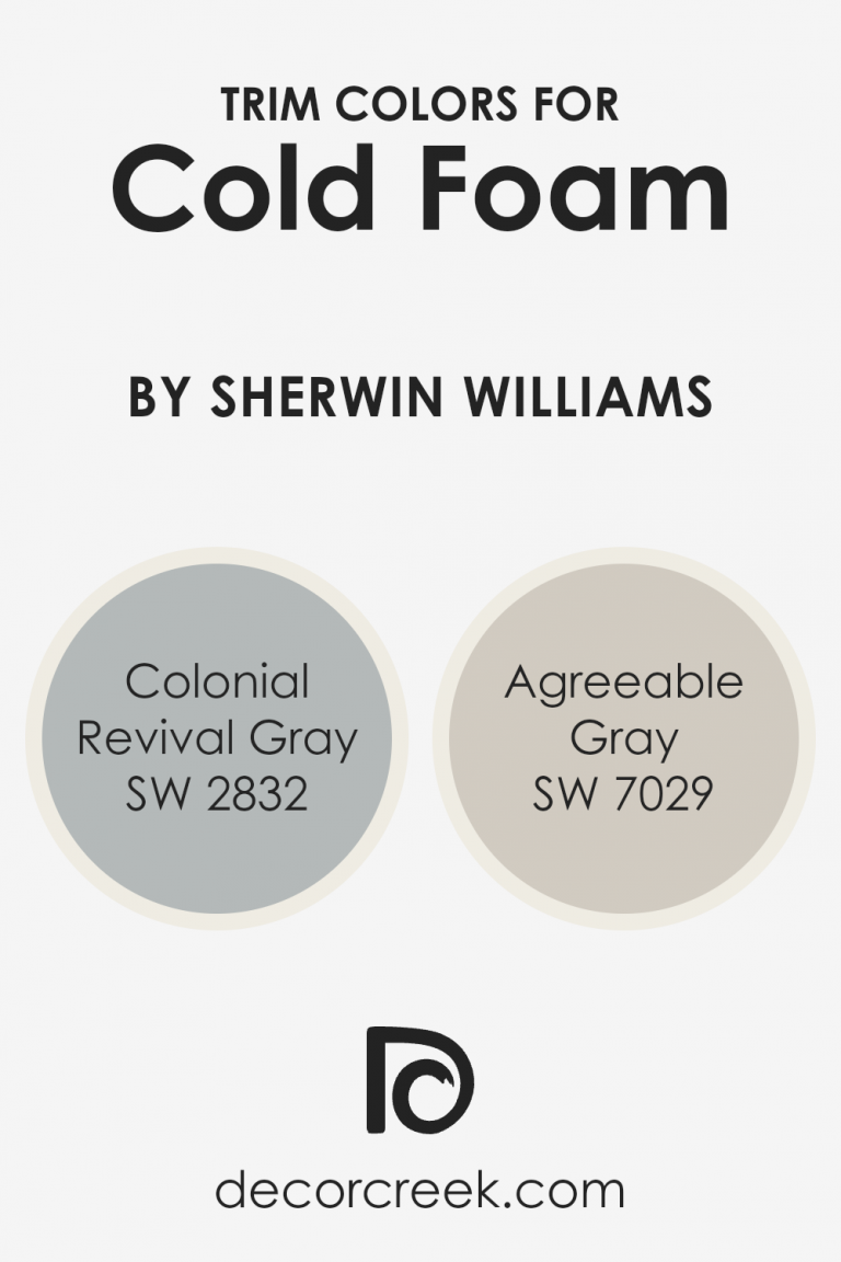 Cold Foam SW 9504 Paint Color by Sherwin Williams - DecorCreek