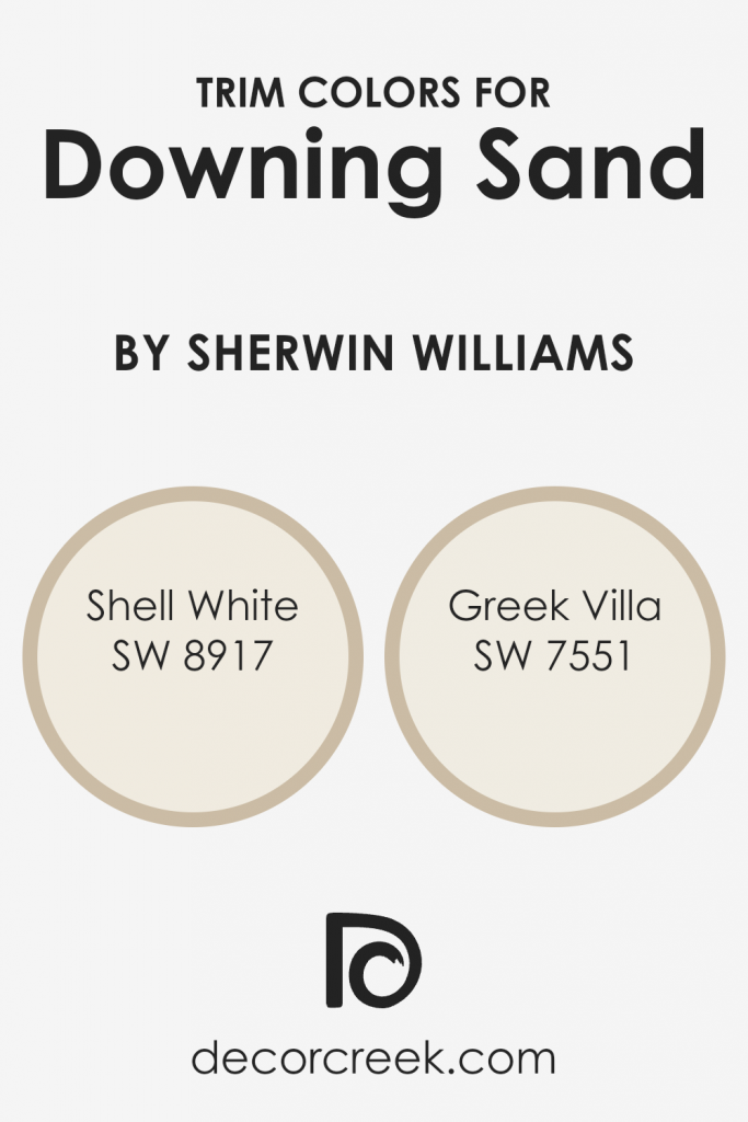 Downing Sand SW 2822 Paint Color by Sherwin Williams - DecorCreek