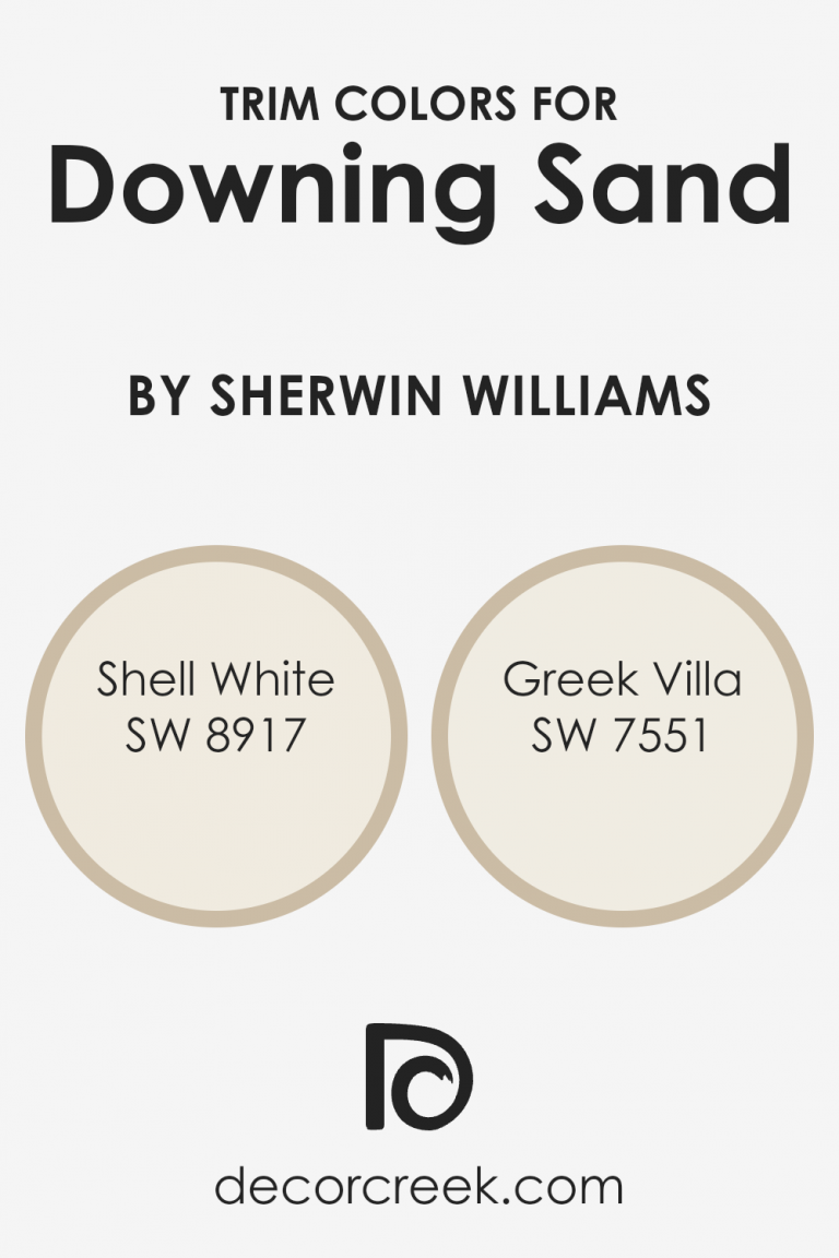 Downing Sand SW 2822 Paint Color by Sherwin Williams - DecorCreek