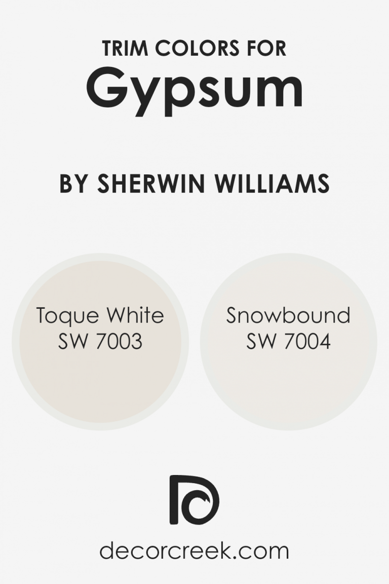 Gypsum SW 9543 Paint Color by Sherwin Williams - DecorCreek