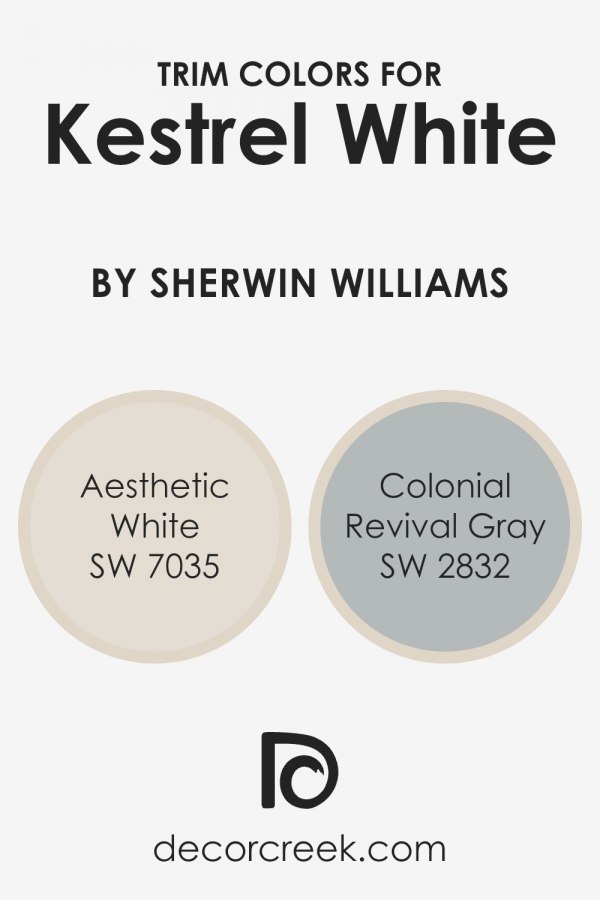 Kestrel White SW 7516 Paint Color by Sherwin Williams - DecorCreek