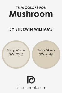 Mushroom SW 9587 Paint Color by Sherwin Williams - DecorCreek