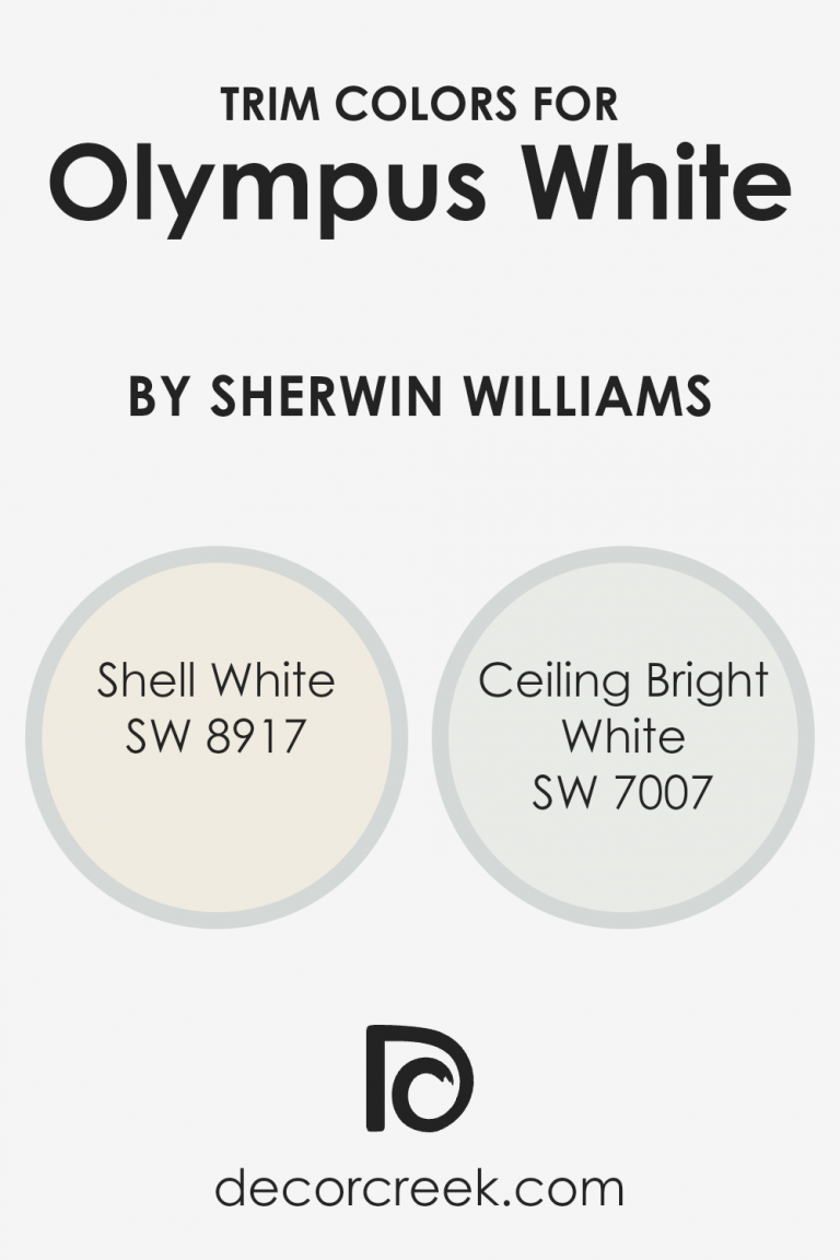 Olympus White SW 6253 Paint Color by Sherwin Williams - DecorCreek