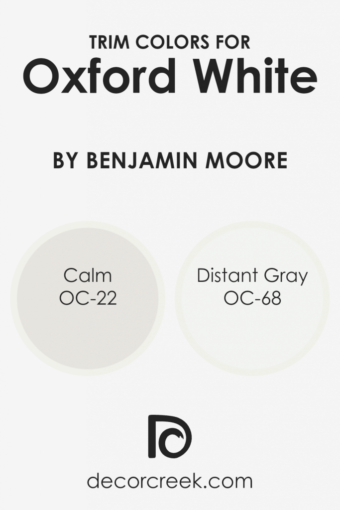 Oxford White 869 Paint Color by Benjamin Moore - DecorCreek