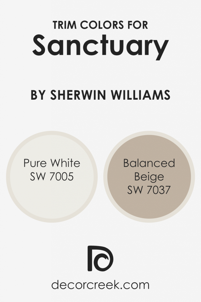 Sanctuary SW 9583 Paint Color by Sherwin Williams - DecorCreek