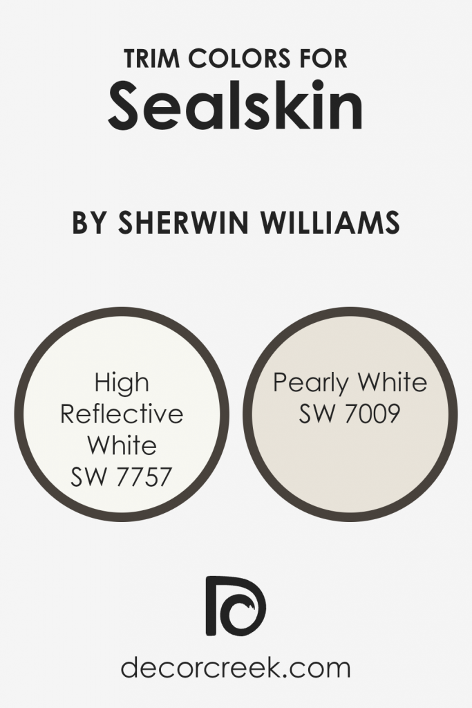 Sealskin SW 7675 Paint Color by Sherwin Williams - DecorCreek