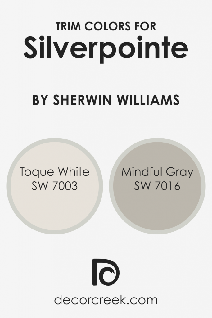 Silverpointe SW 7653 Paint Color by Sherwin Williams - DecorCreek