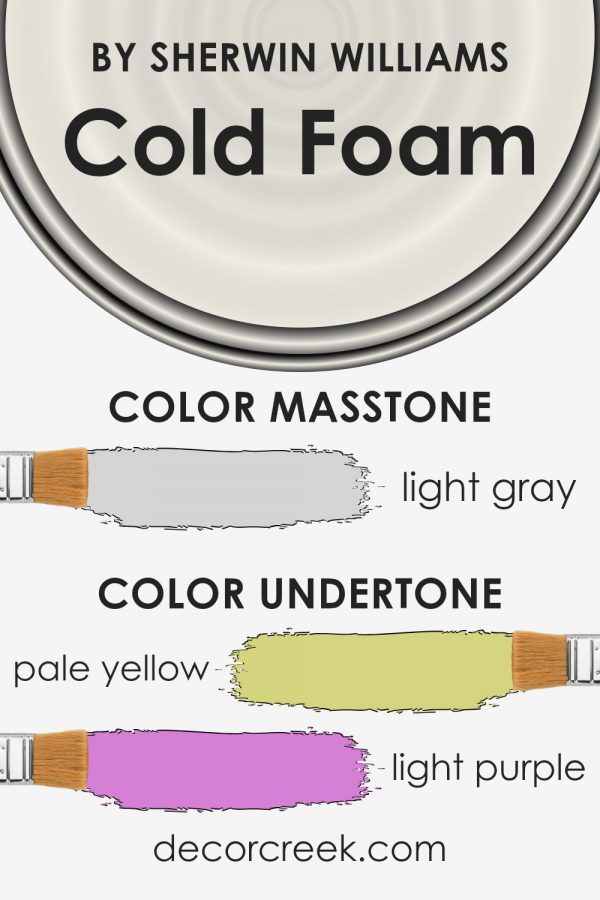 Cold Foam SW 9504 Paint Color by Sherwin Williams - DecorCreek