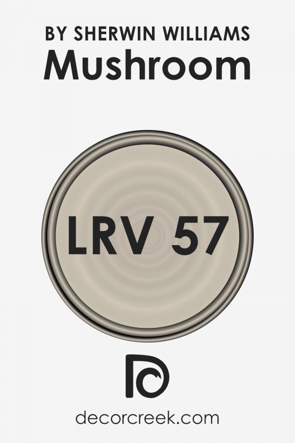 Mushroom SW 9587 Paint Color by Sherwin Williams - DecorCreek