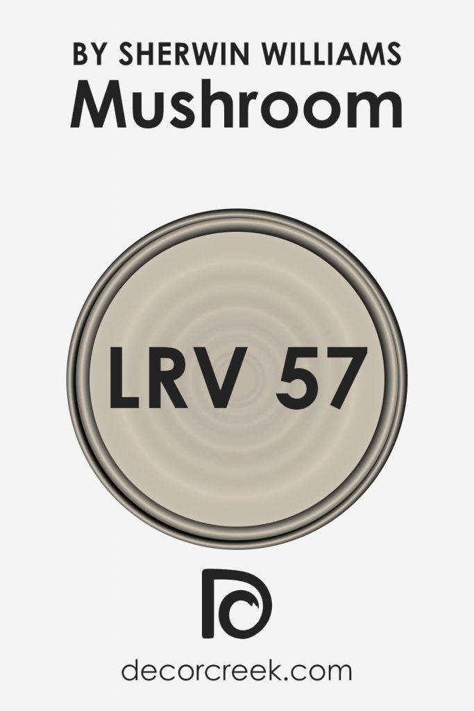 Mushroom SW 9587 Paint Color by Sherwin Williams - DecorCreek