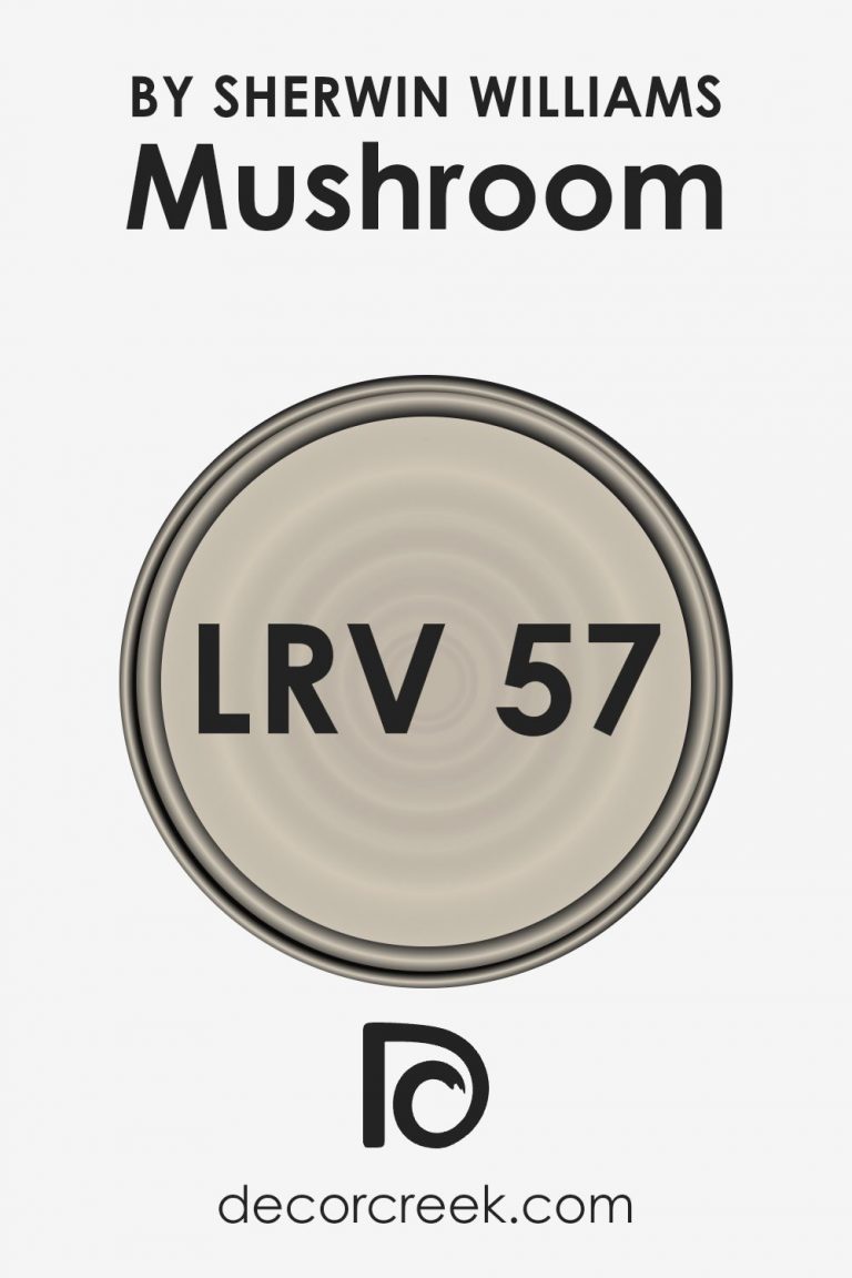 Mushroom SW 9587 Paint Color by Sherwin Williams - DecorCreek