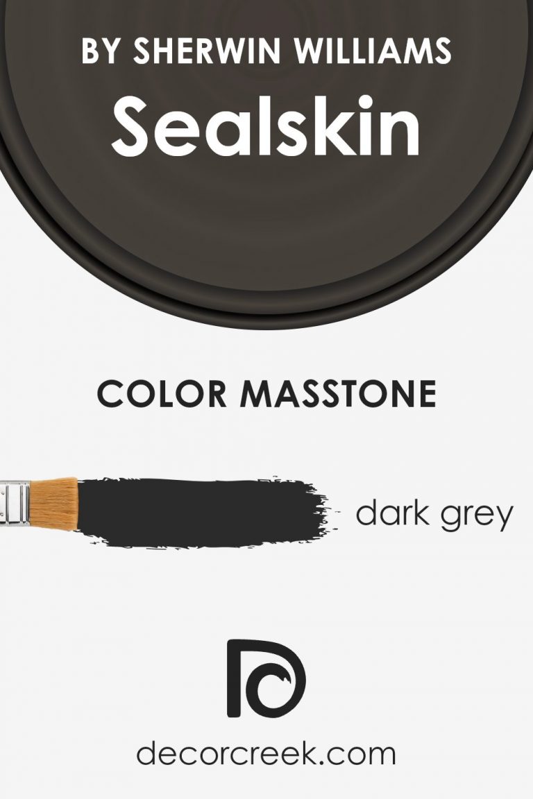 Sealskin SW 7675 Paint Color by Sherwin Williams - DecorCreek