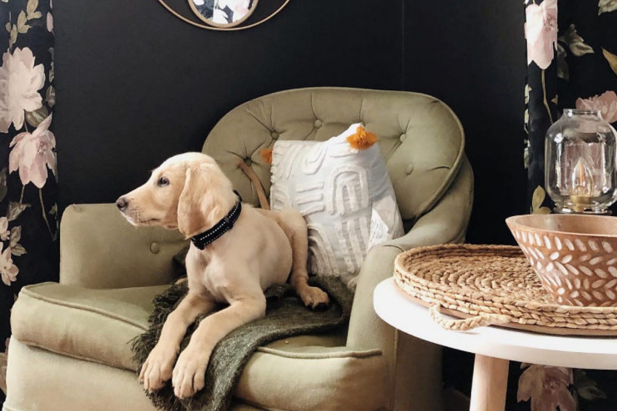 Armory SW 9600 Paint Color by Sherwin Williams - DecorCreek