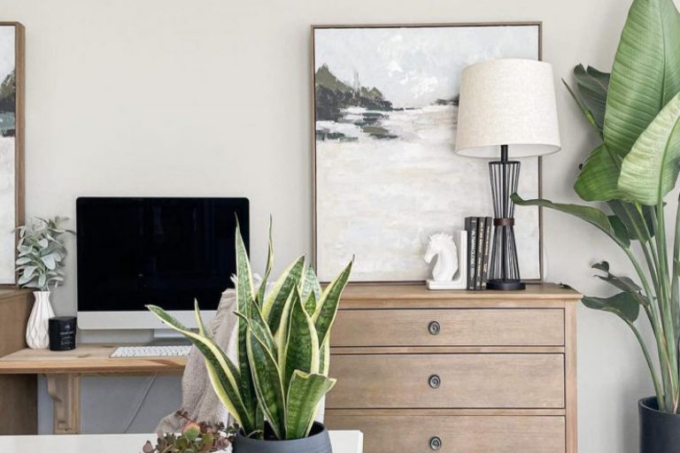 Intrepid Grey SW 9556 Paint Color by Sherwin Williams - DecorCreek