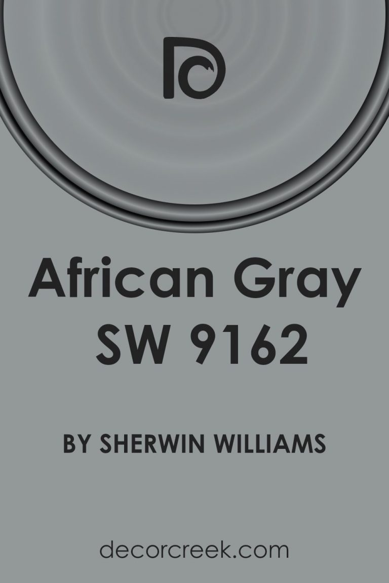 African Gray SW 9162 Paint Color by Sherwin Williams - DecorCreek