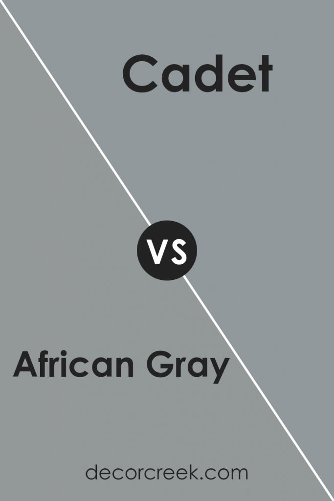 African Gray SW 9162 Paint Color by Sherwin Williams - DecorCreek