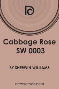 Cabbage Rose SW 0003 Paint Color by Sherwin Williams - DecorCreek