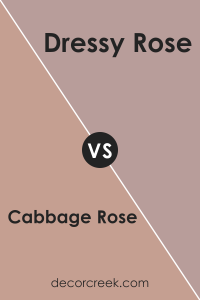 Cabbage Rose SW 0003 Paint Color by Sherwin Williams - DecorCreek