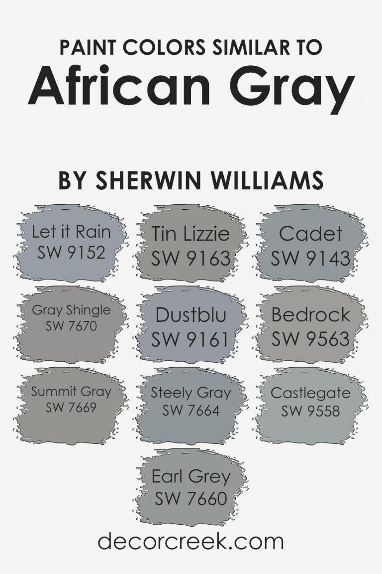 African Gray SW 9162 Paint Color by Sherwin Williams - DecorCreek